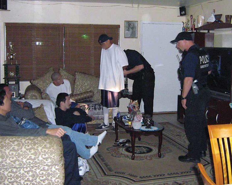 OFFICER SURVIVAL | Contact and Cover - American Cop