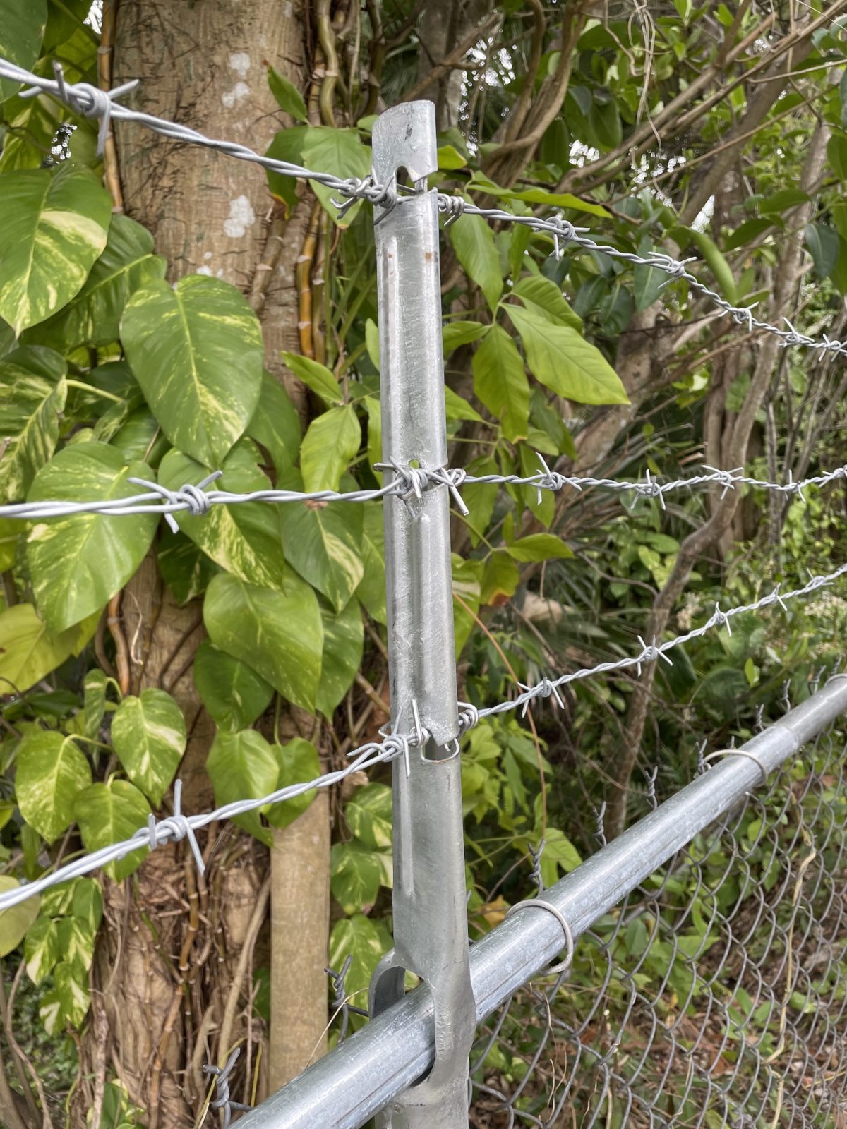 Perimeter Defense - Creating Your Safe Space with Barbed Wire ...