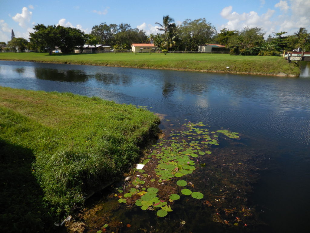 Emergency water storage and disinfection - American Cop