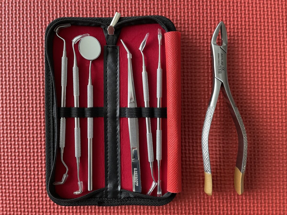 Emergency Dental First Aid Kit - American Cop