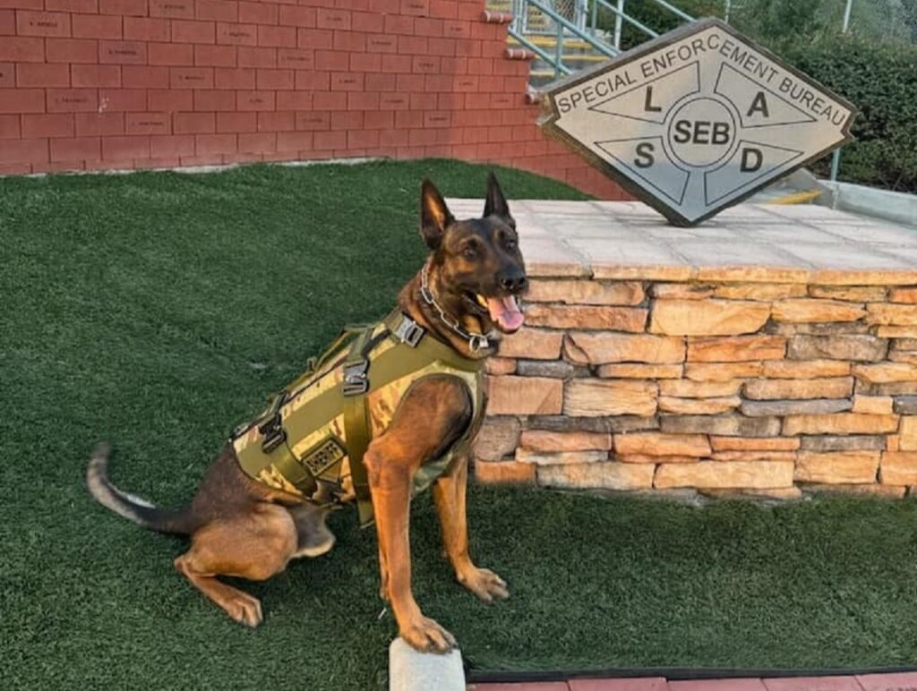 K9 First Aid: Stop The Bleed - American Cop